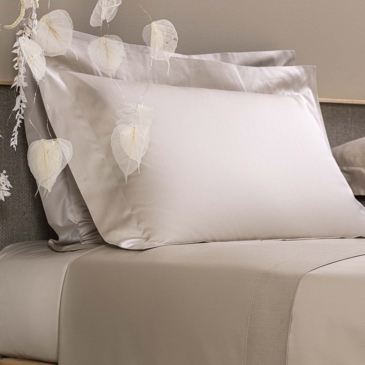 Naturalismo Sham | Frette